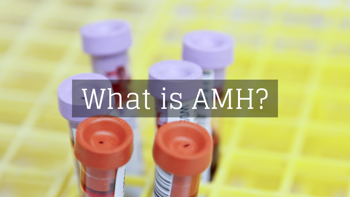 What is AMH (Anti-Mullerian Hormone)? » Georgia Marrion